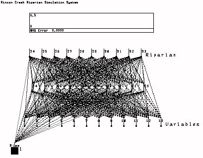 Riparian Ecosystem Assessment and Modeling of Rincon Creek: GIS and ...